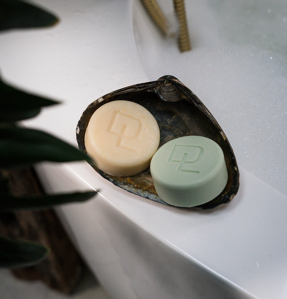 Eco-Friendly Shampoo & Conditioner Bars – danyellilaurette